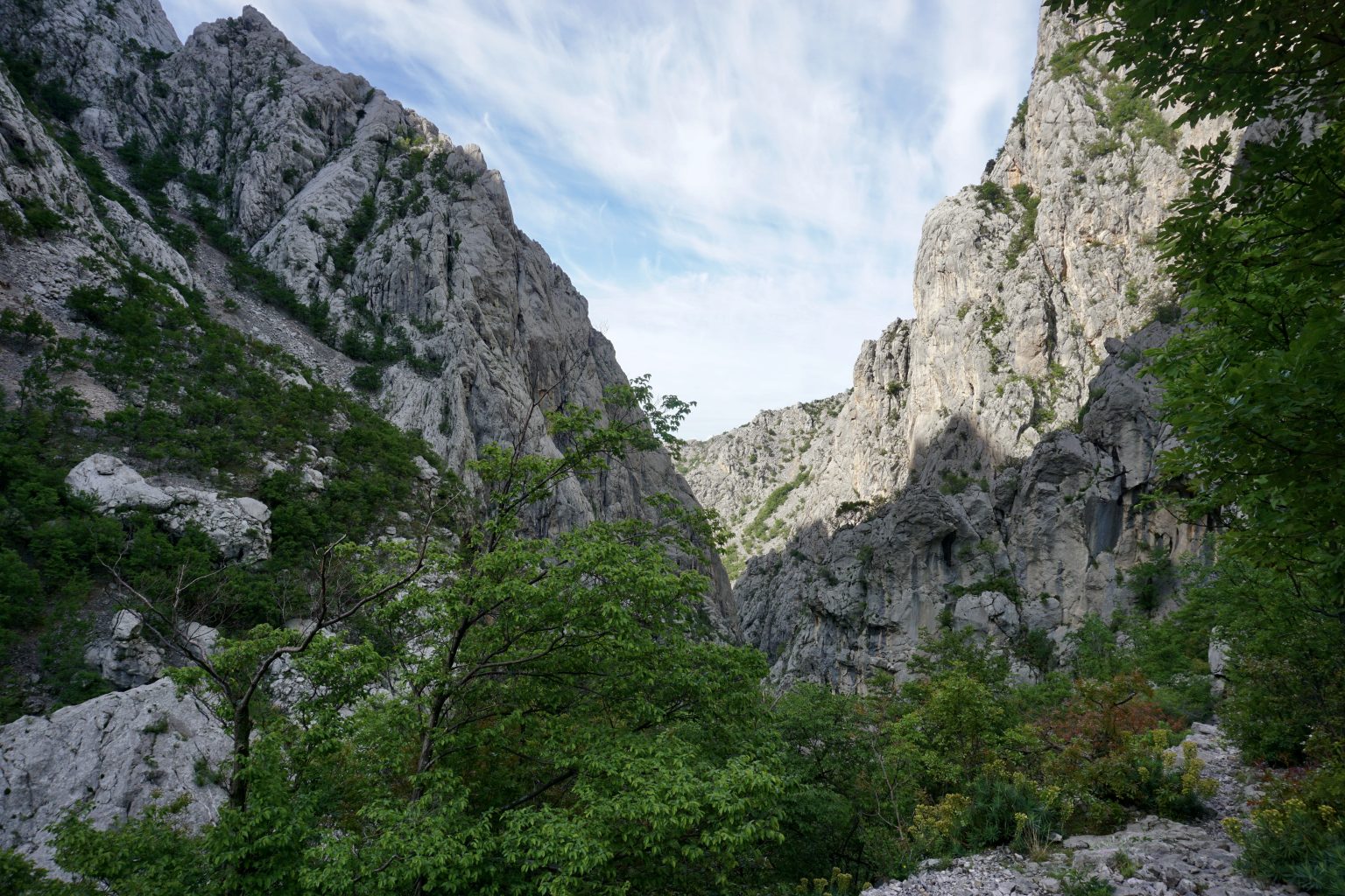 Lizard walk in Paklenica national park, Croatia – Into the hike