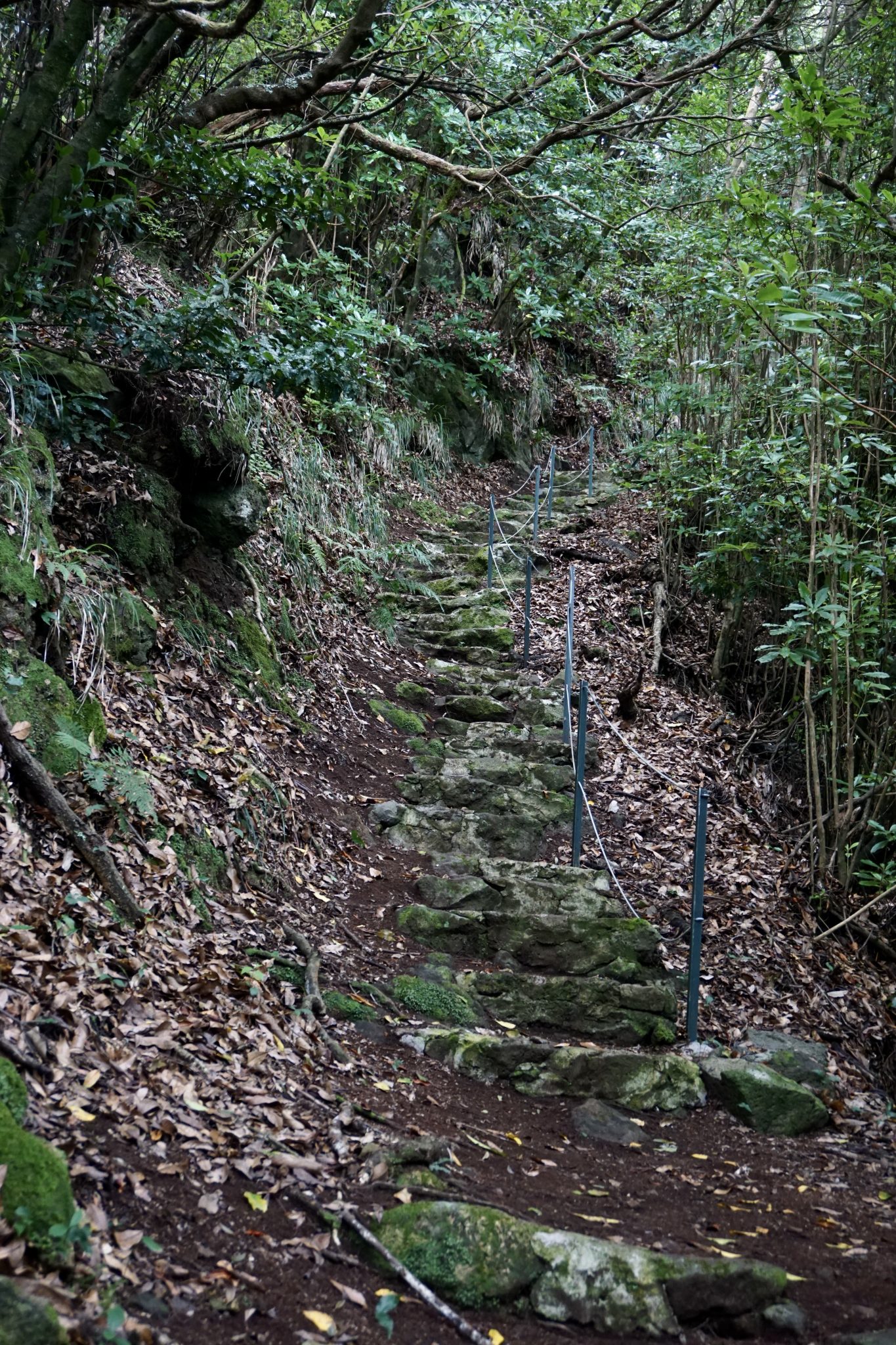 Multi-day hike across Madeira island – Into the hike