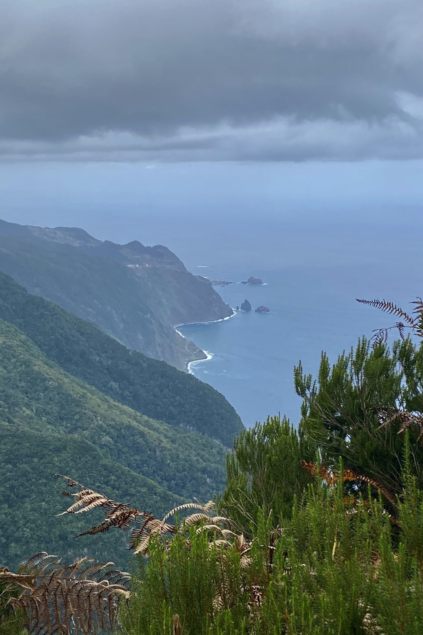 Multi-day hike across Madeira island – Into the hike